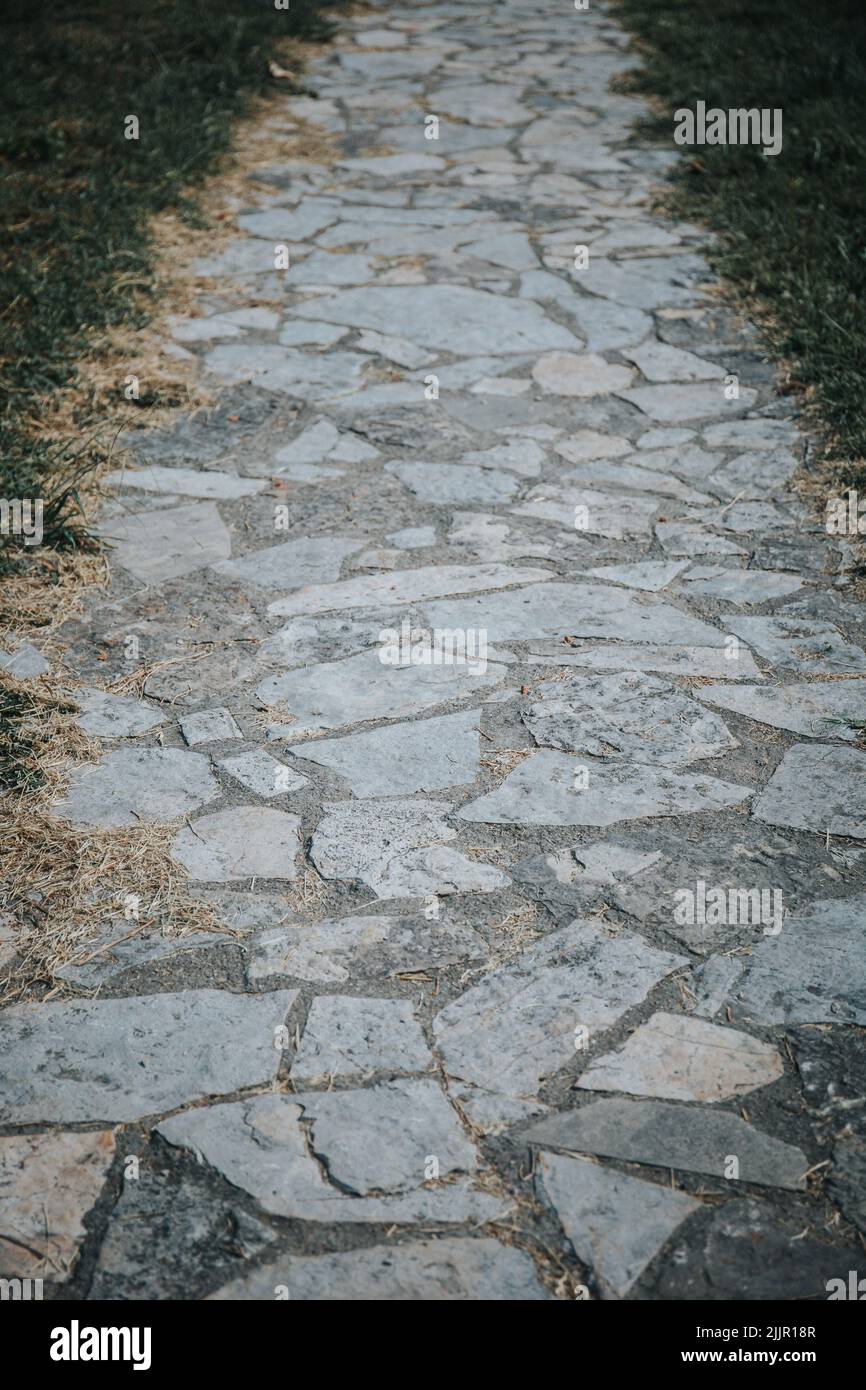 A vertical shot of a stone pavement pathway in a backyard Stock Photo ...