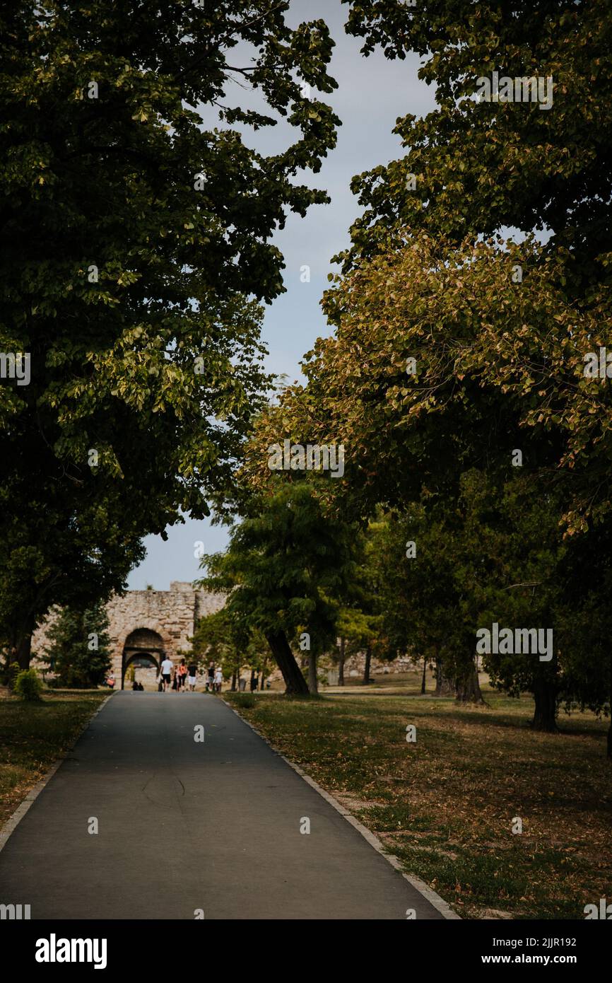 A vertical shot of a pathway with trees on both sides leading to an old ...
