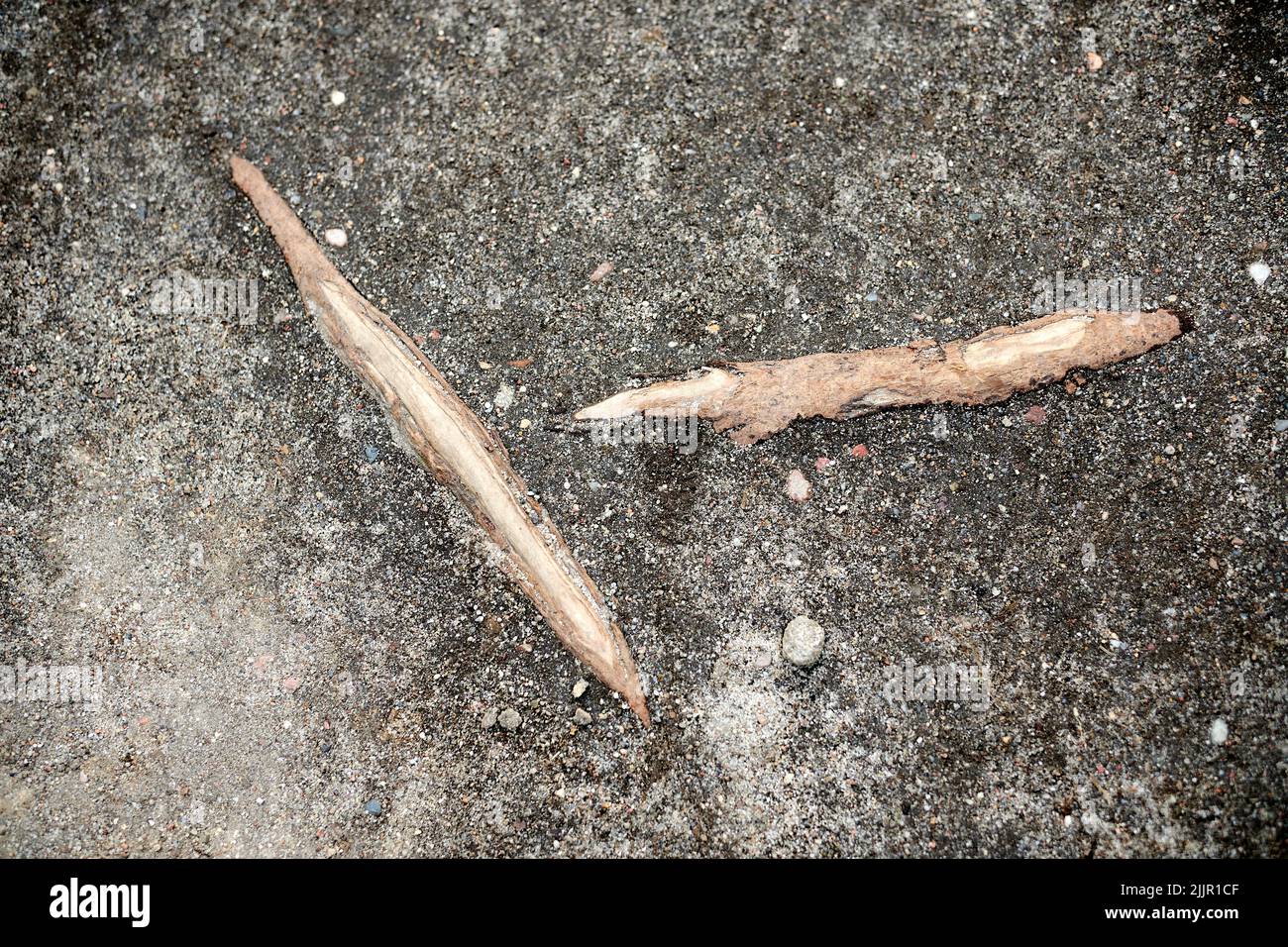 Ground on roots hi-res stock photography and images - Alamy