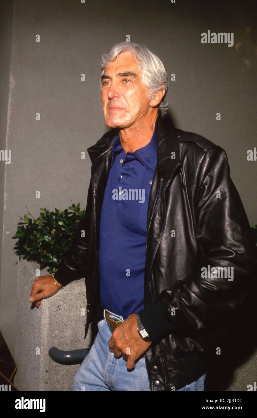 John DeLorean 1985 Credit: Ralph Dominguez/MediaPunch Stock Photo - Alamy