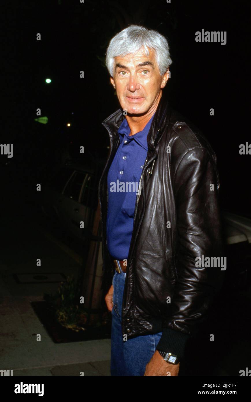 John DeLorean 1985 Credit: Ralph Dominguez/MediaPunch Stock Photo - Alamy