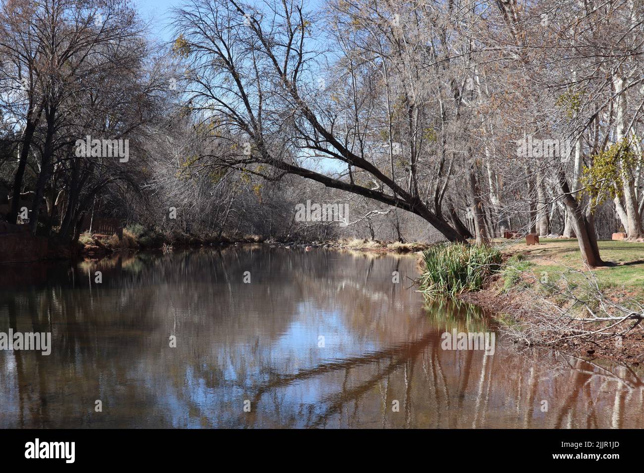 A natural view of trees reflection on Oak Creek in Sedona, Arizona ...