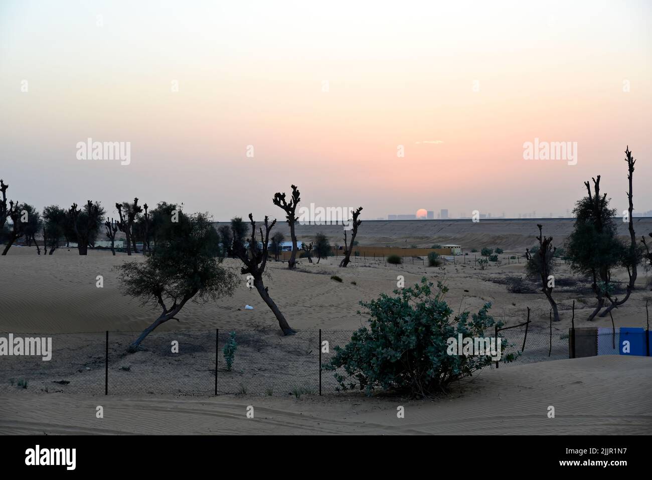 Sunset around Al Awir desert with trees and sand dunes, Dubai United ...