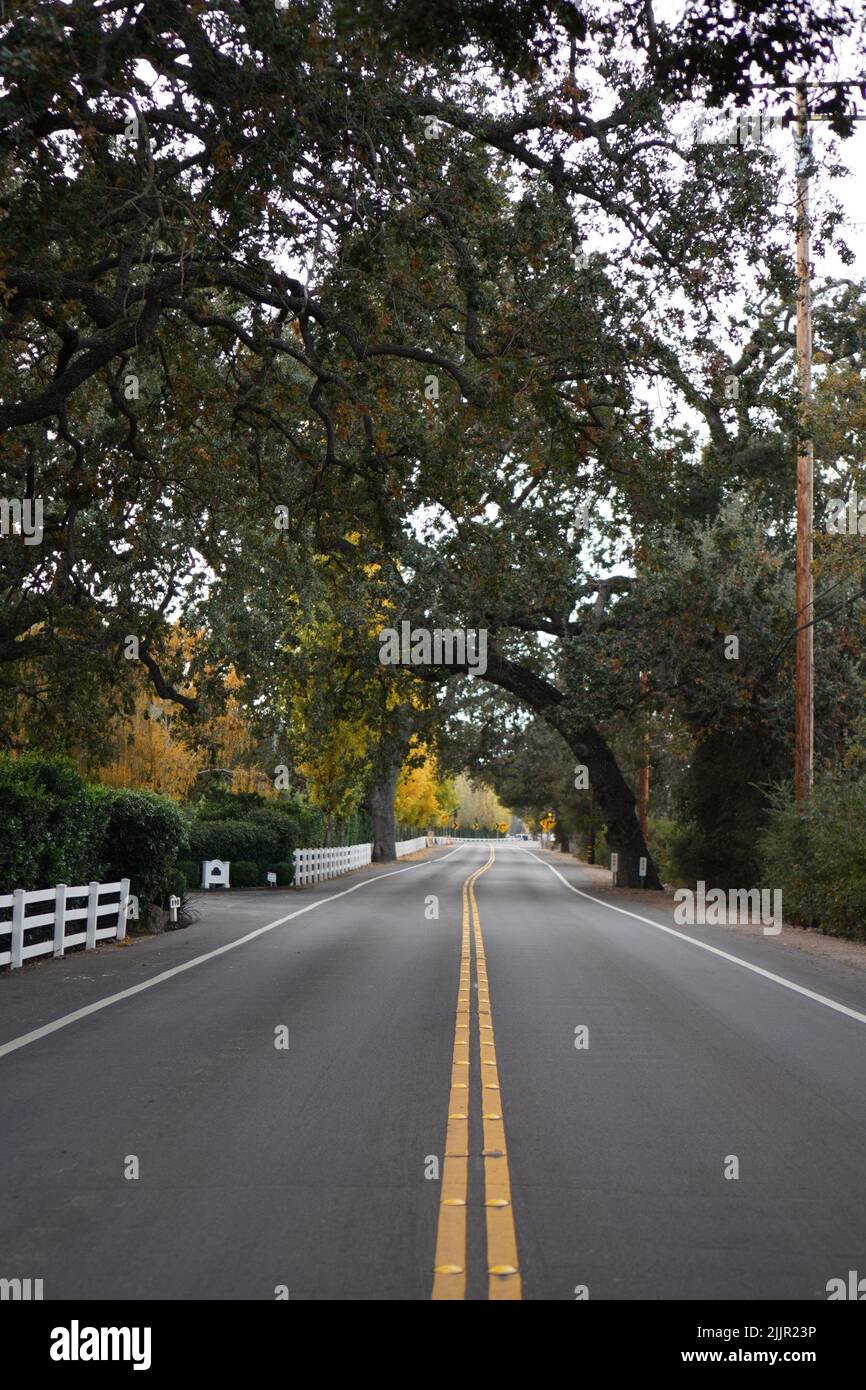 A vertical shot of a long road through the countryside Stock Photo - Alamy