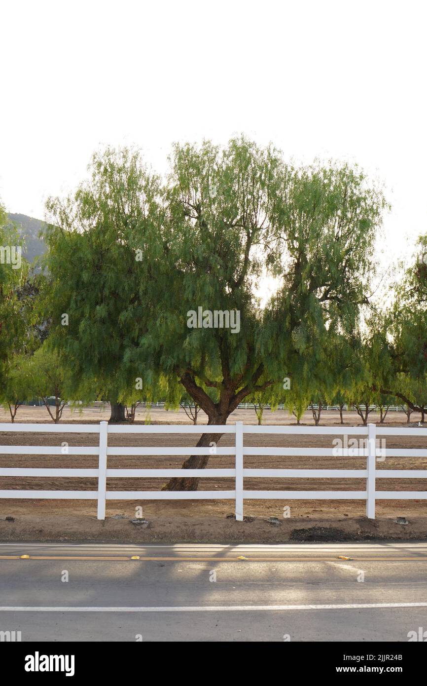 White fence field hi-res stock photography and images - Alamy