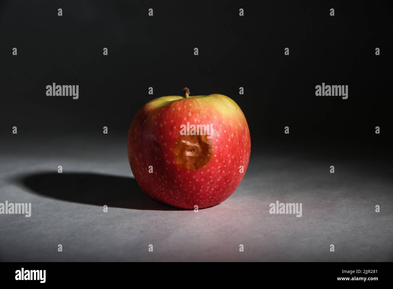 A red apple with a rotten spot on a gray surface under studio lighting ...