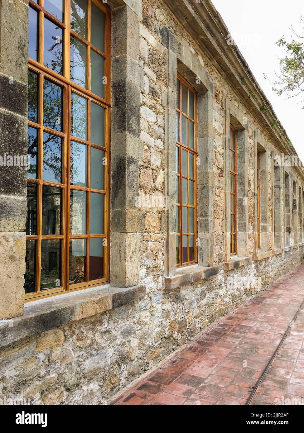 old abandoned building, nature grows back brick Stock Photo - Alamy