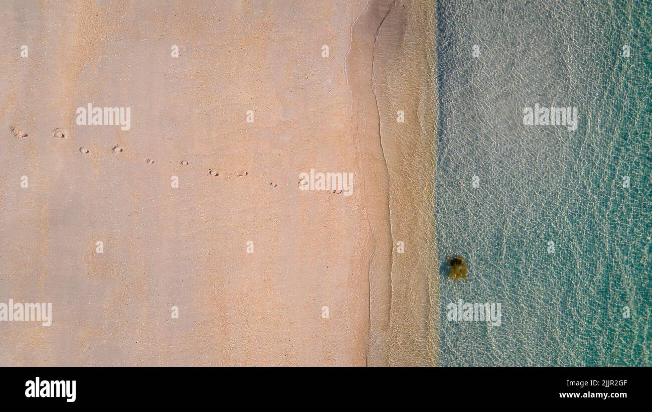 An aerial view of row of footprints on the sandy beach leading to the ...