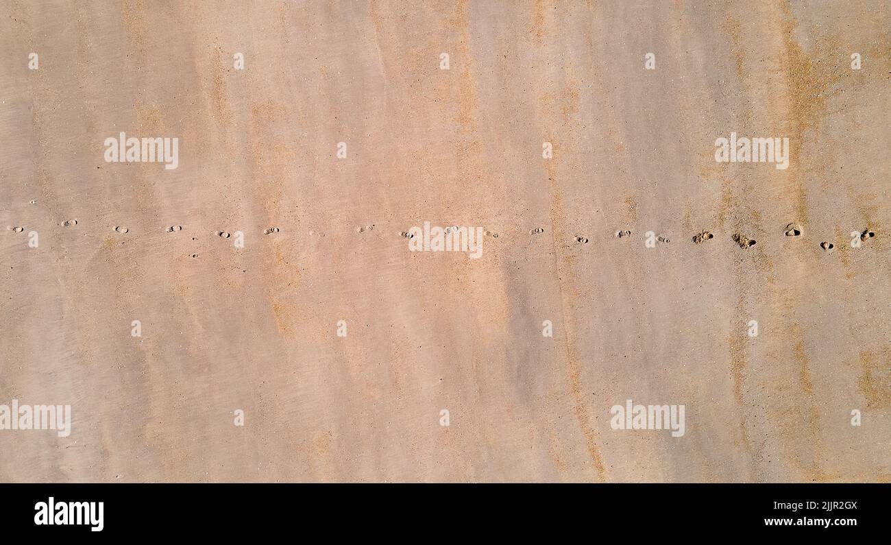 An aerial view of row of footprints on a sandy beach Stock Photo - Alamy