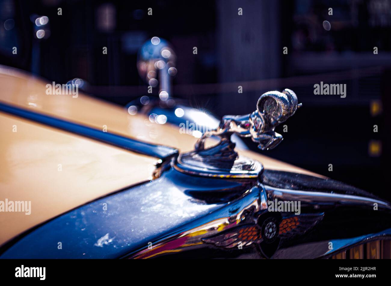 A closeup shot of a silver ram sign on a car surface Stock Photo - Alamy