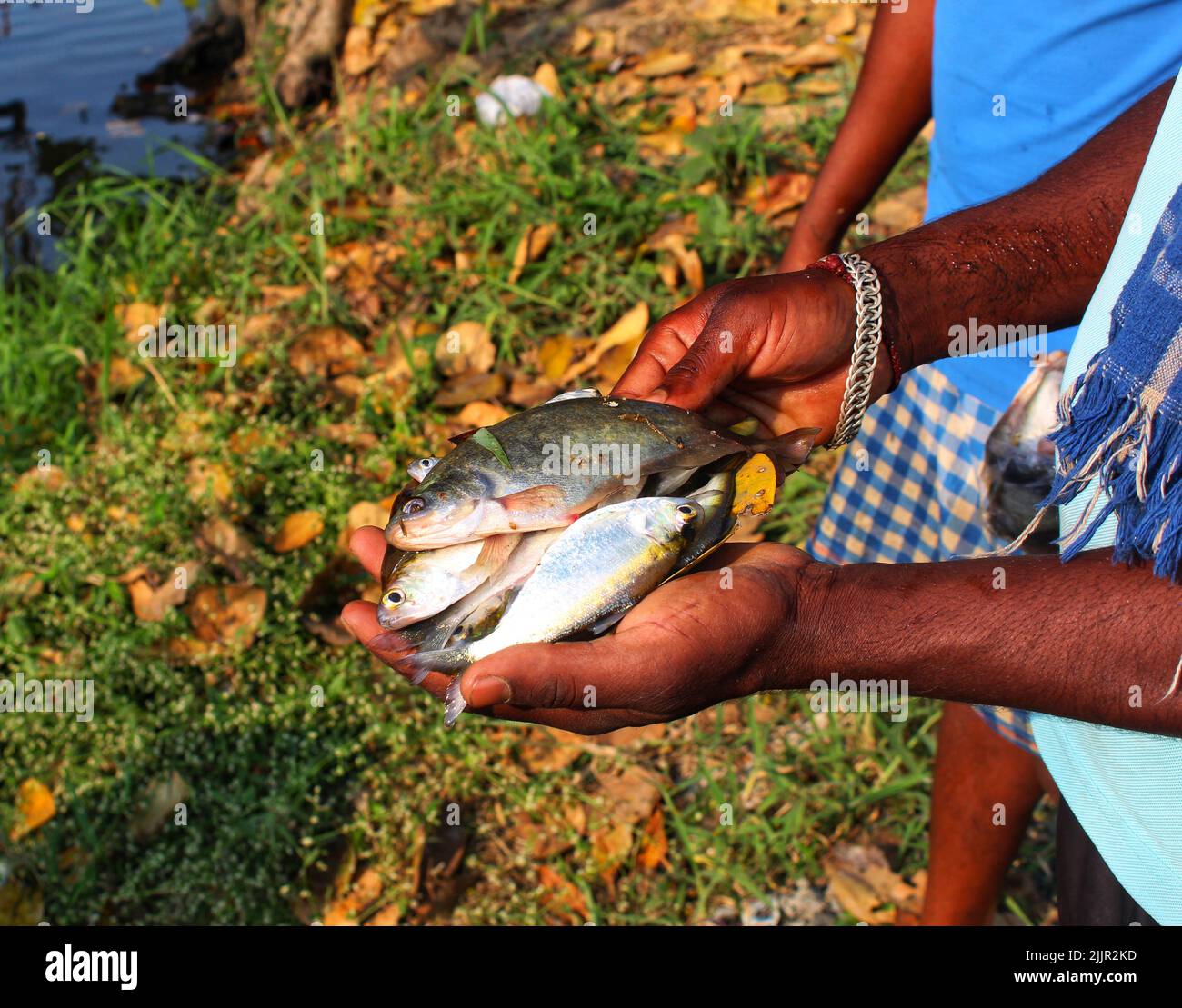 Sea fishing caught a fish hi-res stock photography and images - Alamy