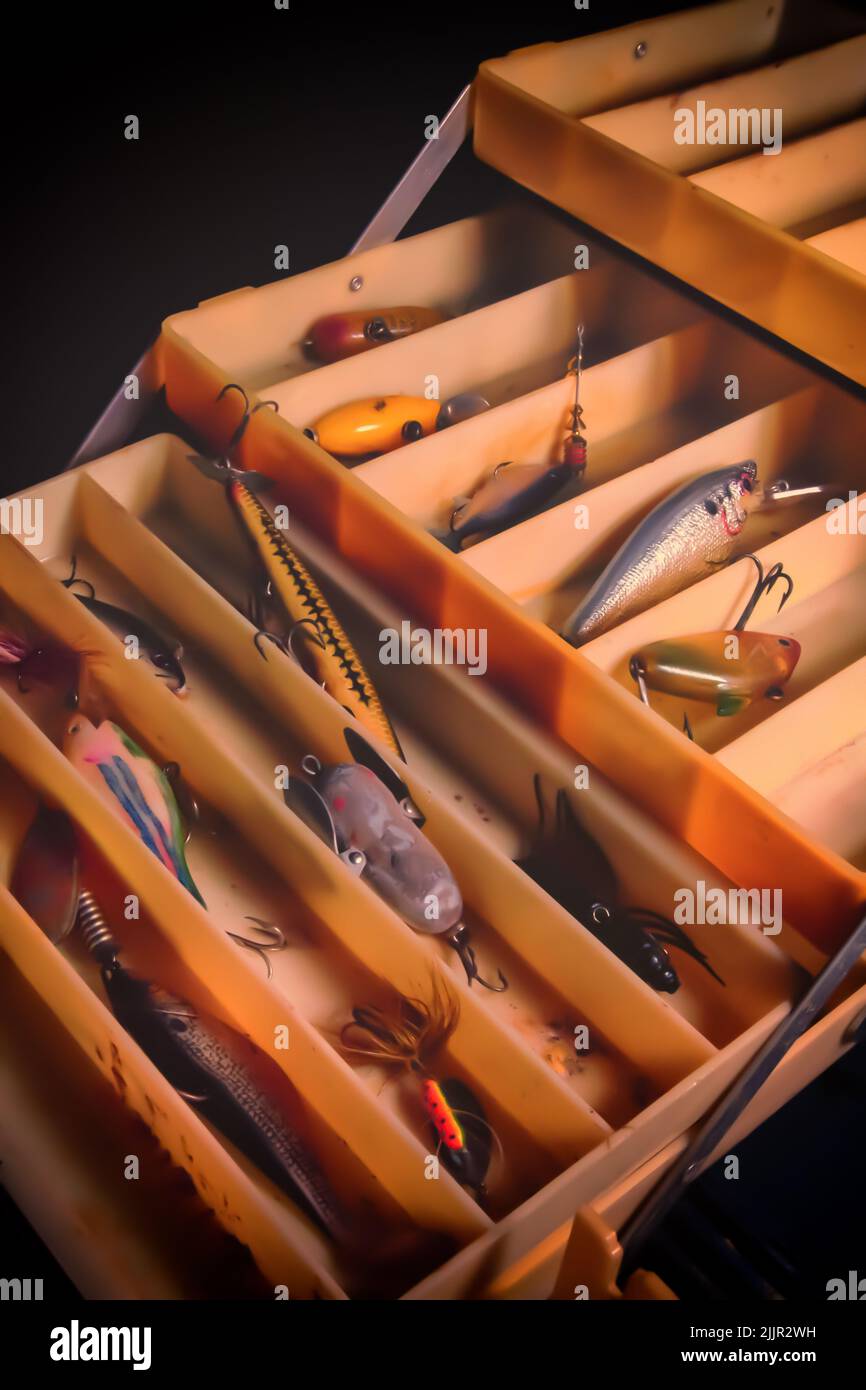 Kit fish hi-res stock photography and images - Alamy
