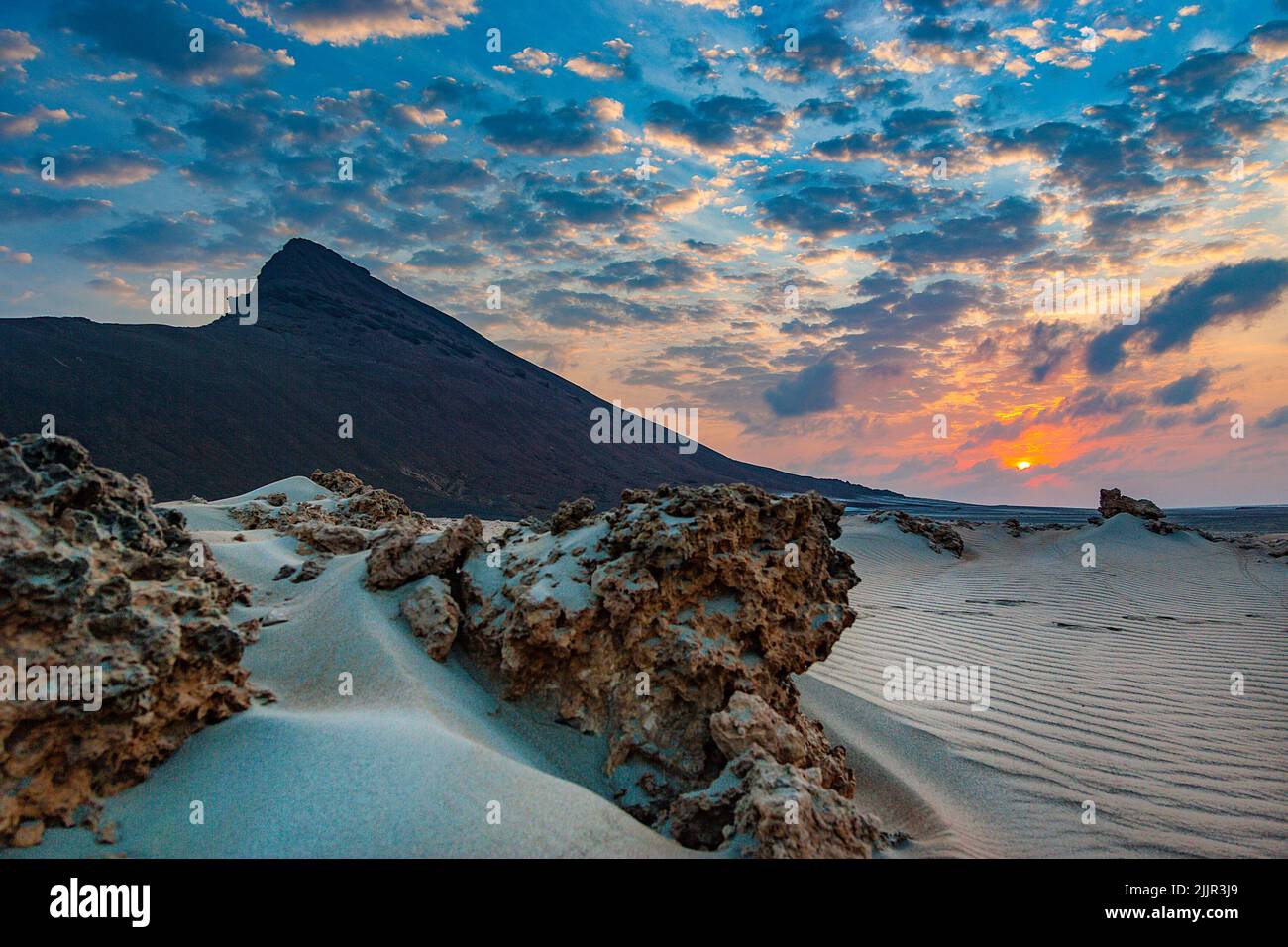 Savfari hi-res stock photography and images - Alamy