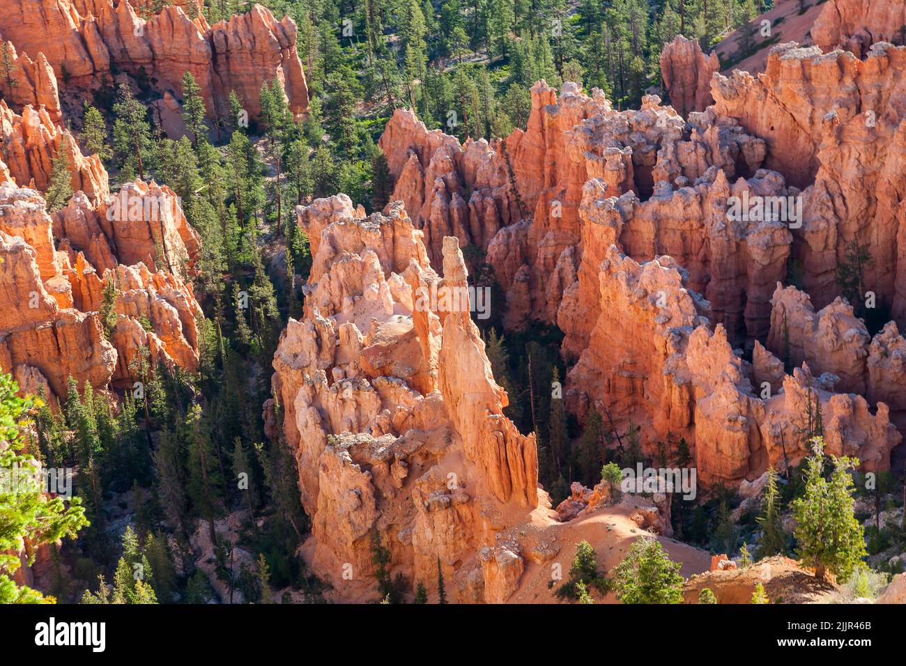 Bryce Canyon Panorama View, Arizona, United States of America Stock ...
