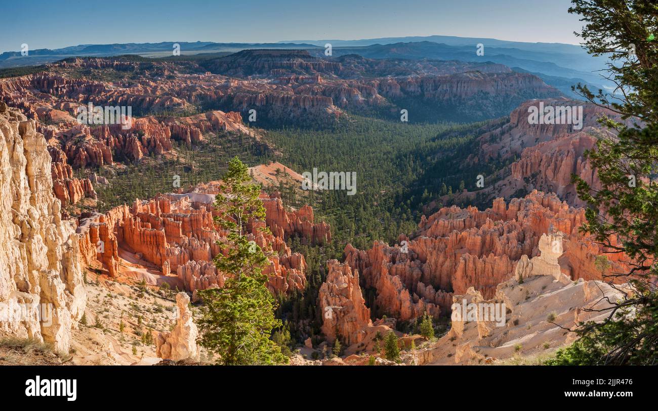 Bryce Canyon Panorama View, Arizona, United States of America Stock ...