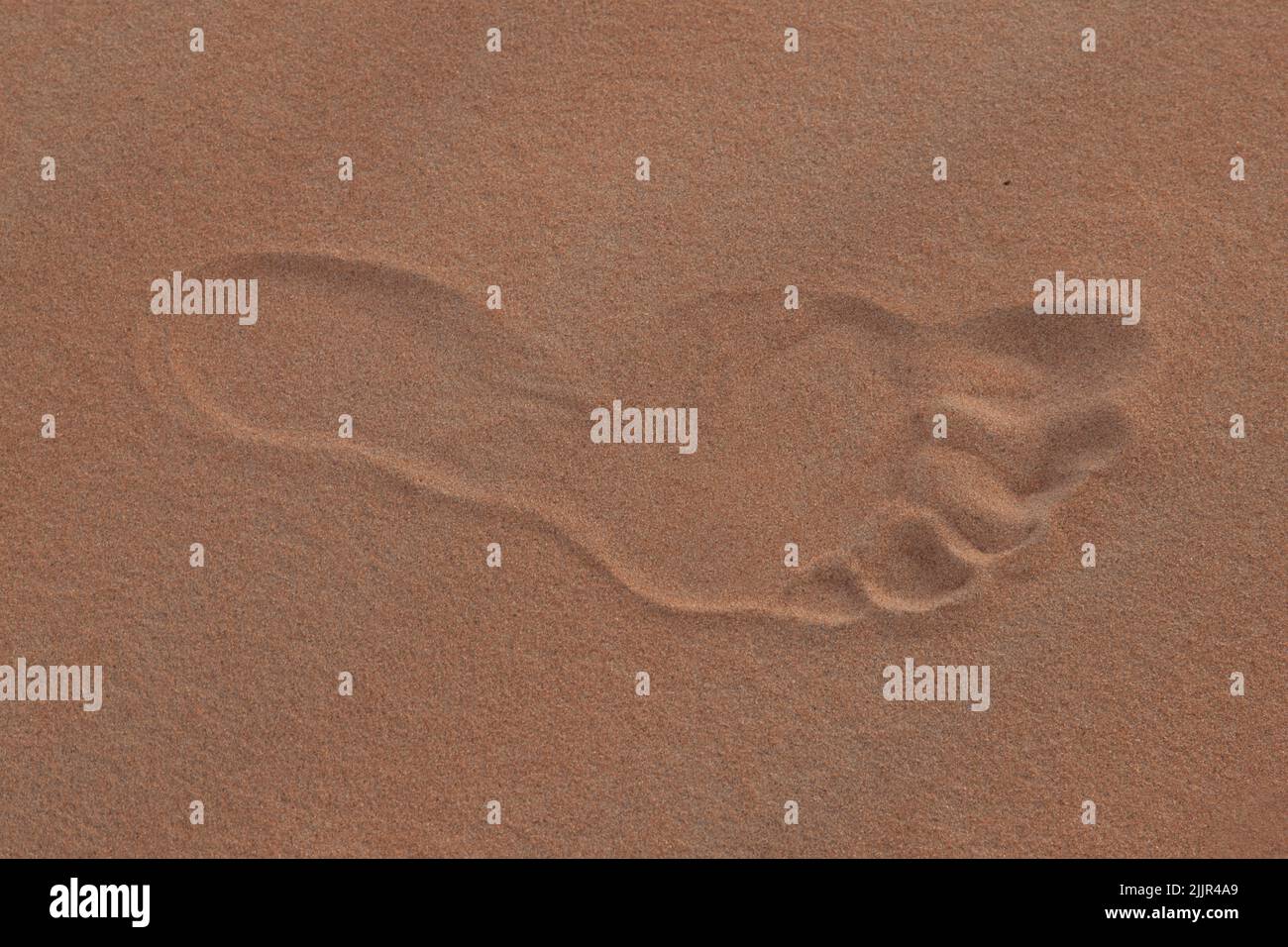 The single footprint of a female in the sand of the UAE desert. Full ...