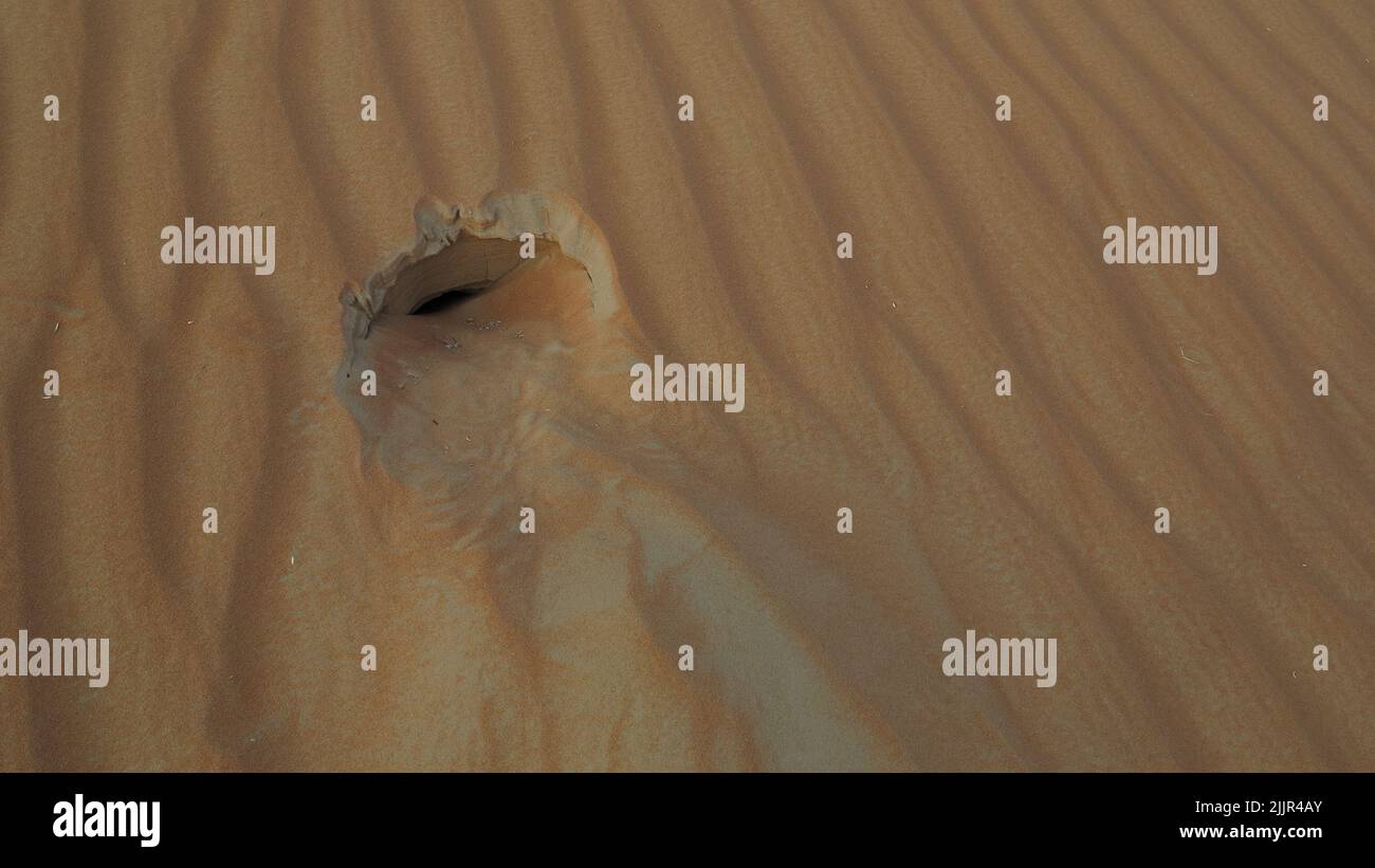 A hole in the dune is the home of a desert mouse Stock Photo - Alamy