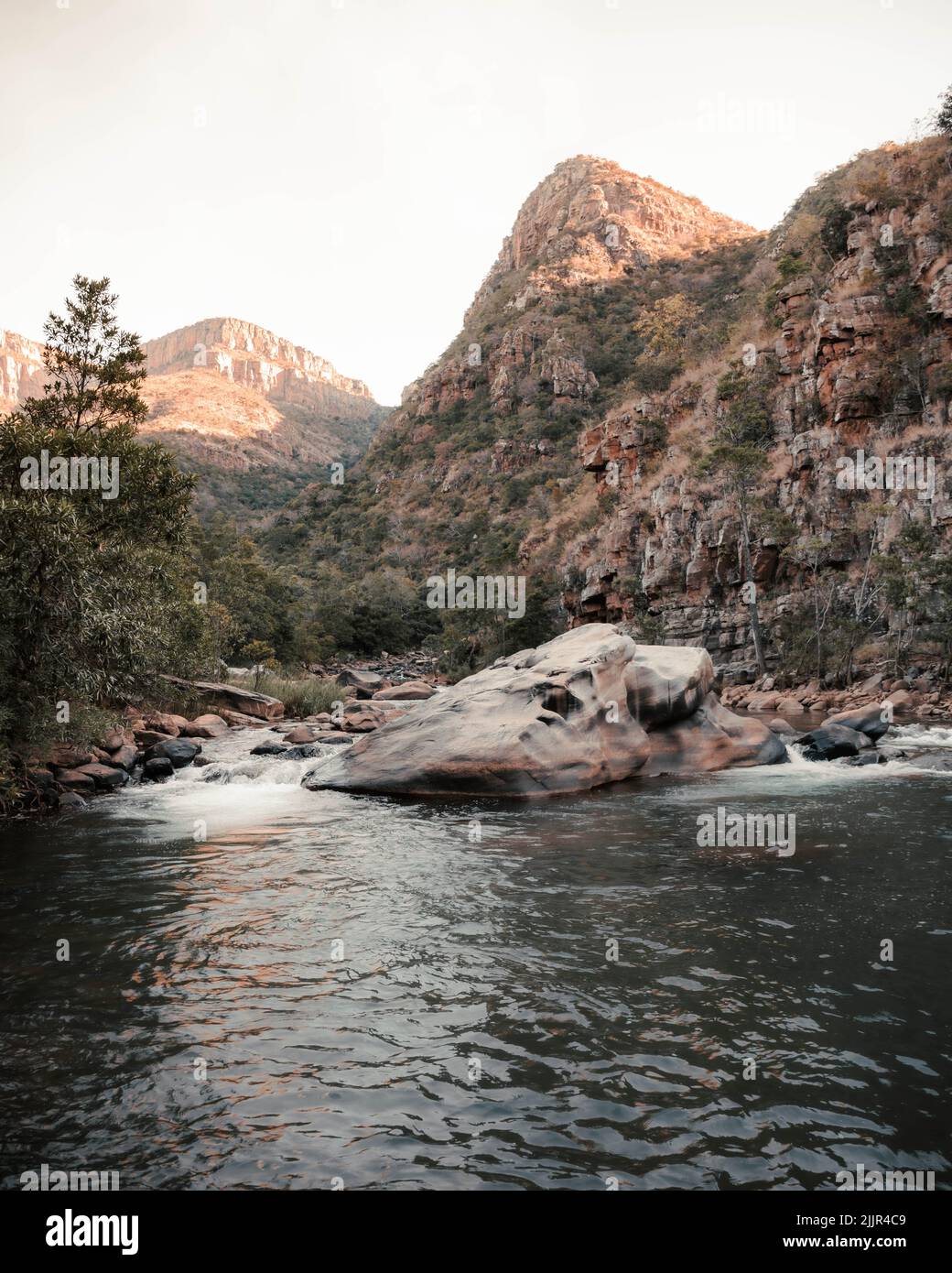 Beautiful shot water river forest hi-res stock photography and images ...