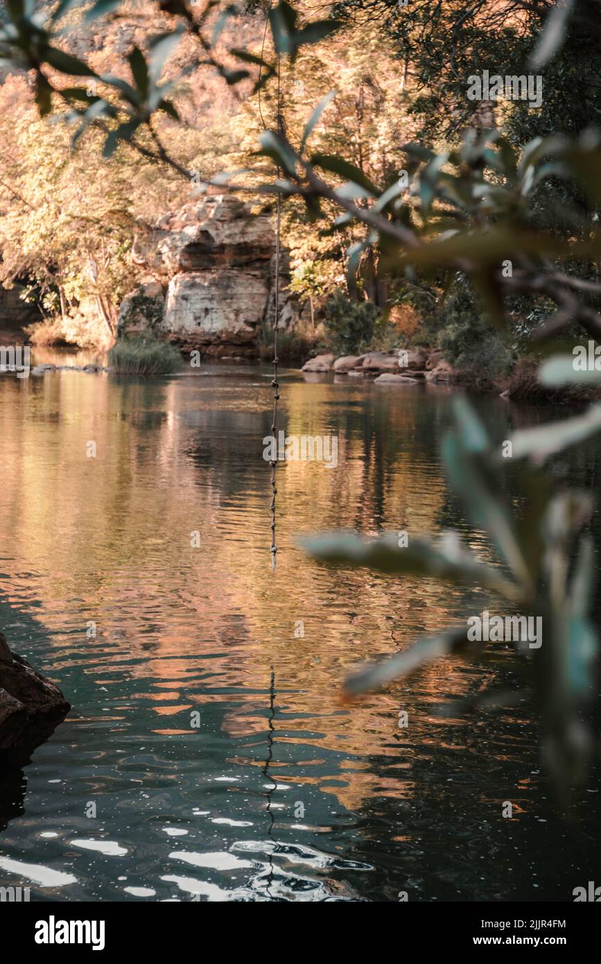 A beautiful view of a river flows over rocks through the woods Stock ...
