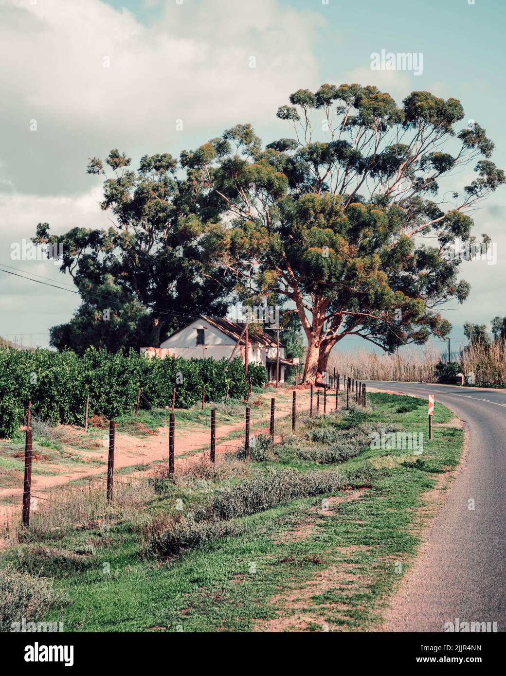Long way road travel hi-res stock photography and images - Alamy