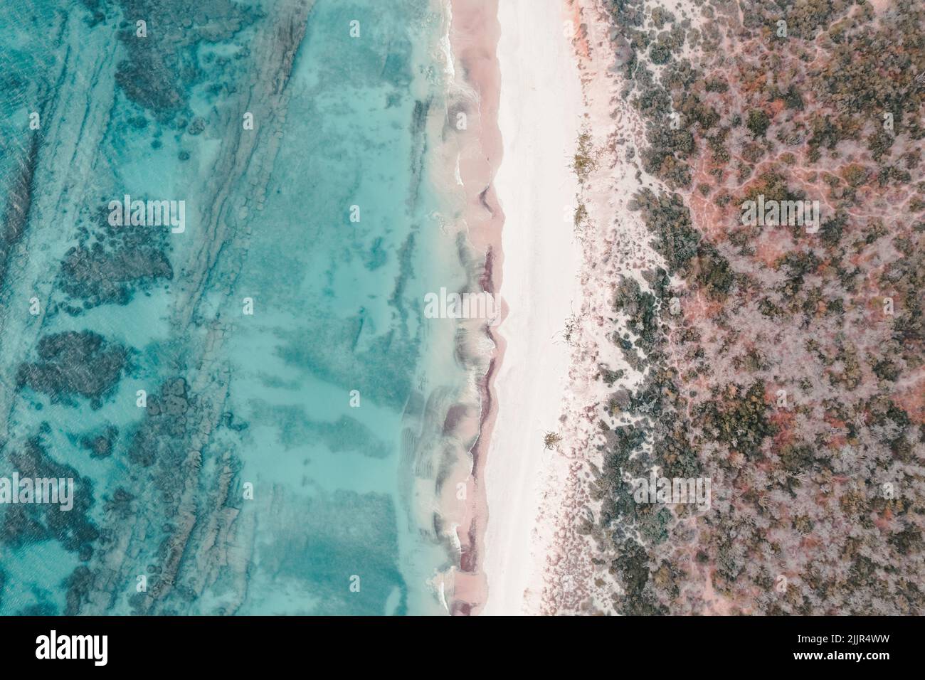 An aerial view of shores of coral reefs Stock Photo - Alamy