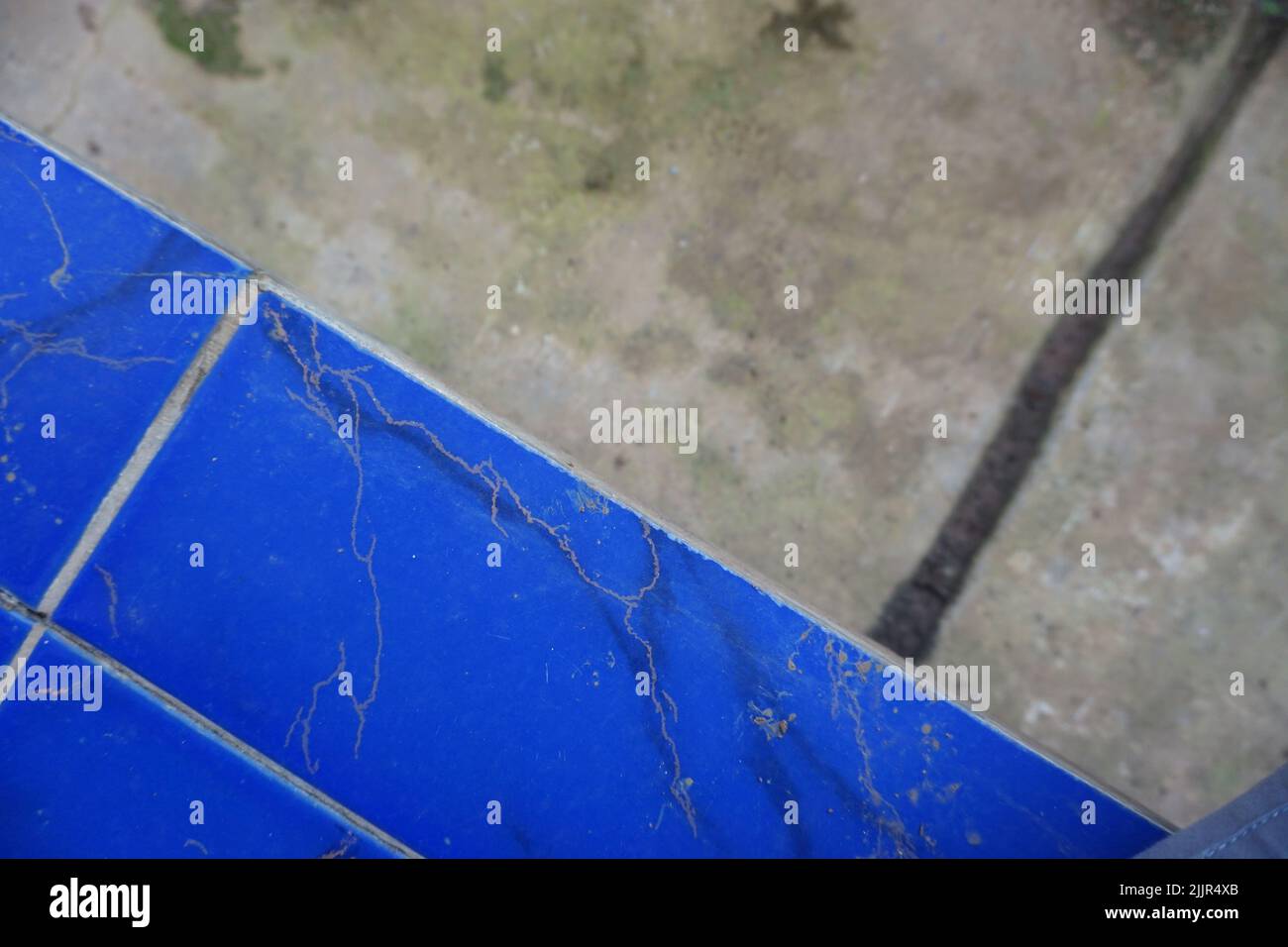 A wall with blue tiles in a garden Stock Photo - Alamy