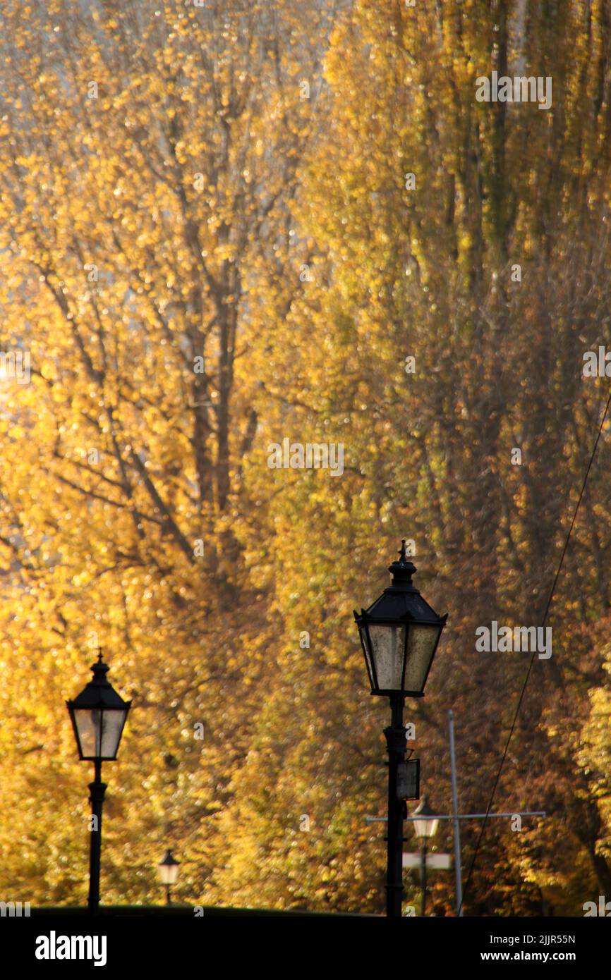 Bright yellow street light hi-res stock photography and images - Alamy