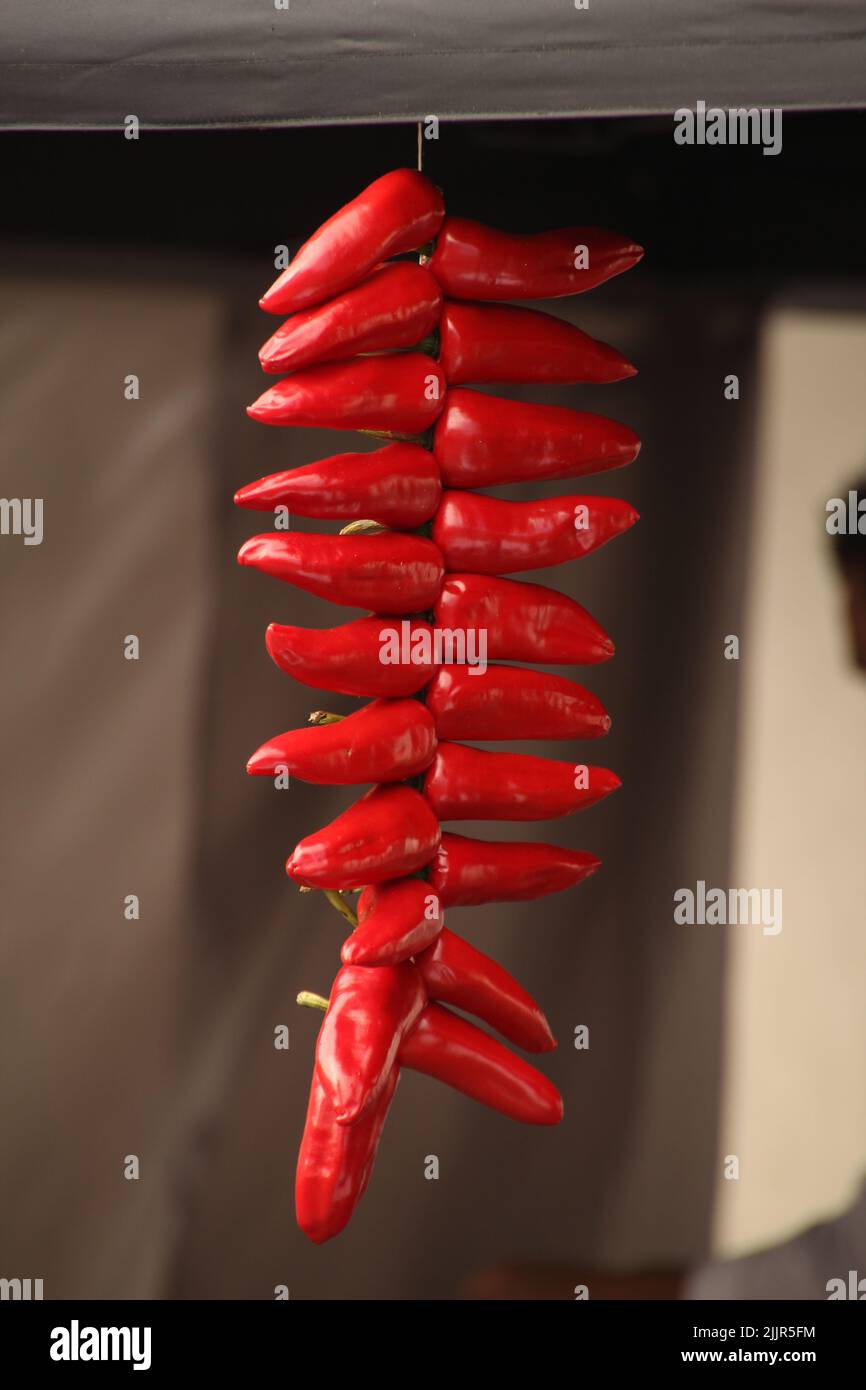 A vertical shot of red hot chili peppers hanging on a rope on blurred ...
