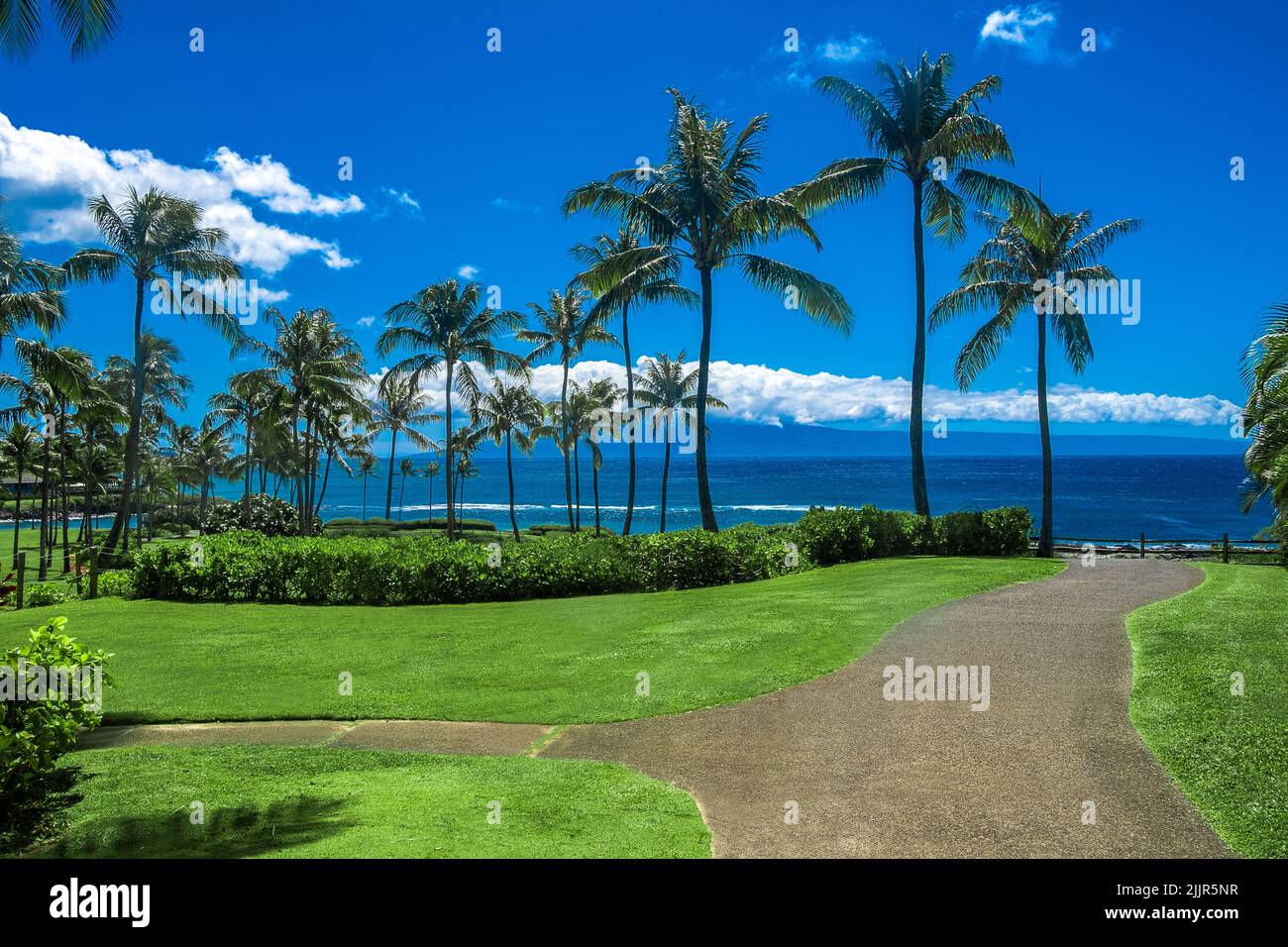 A beautiful view of a walkway surrounded by green grass and palm trees ...