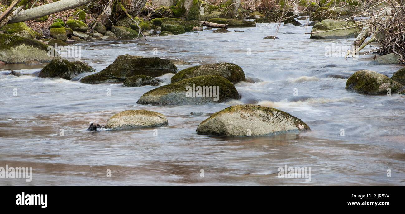 Stream and mossy rocks hi-res stock photography and images - Alamy