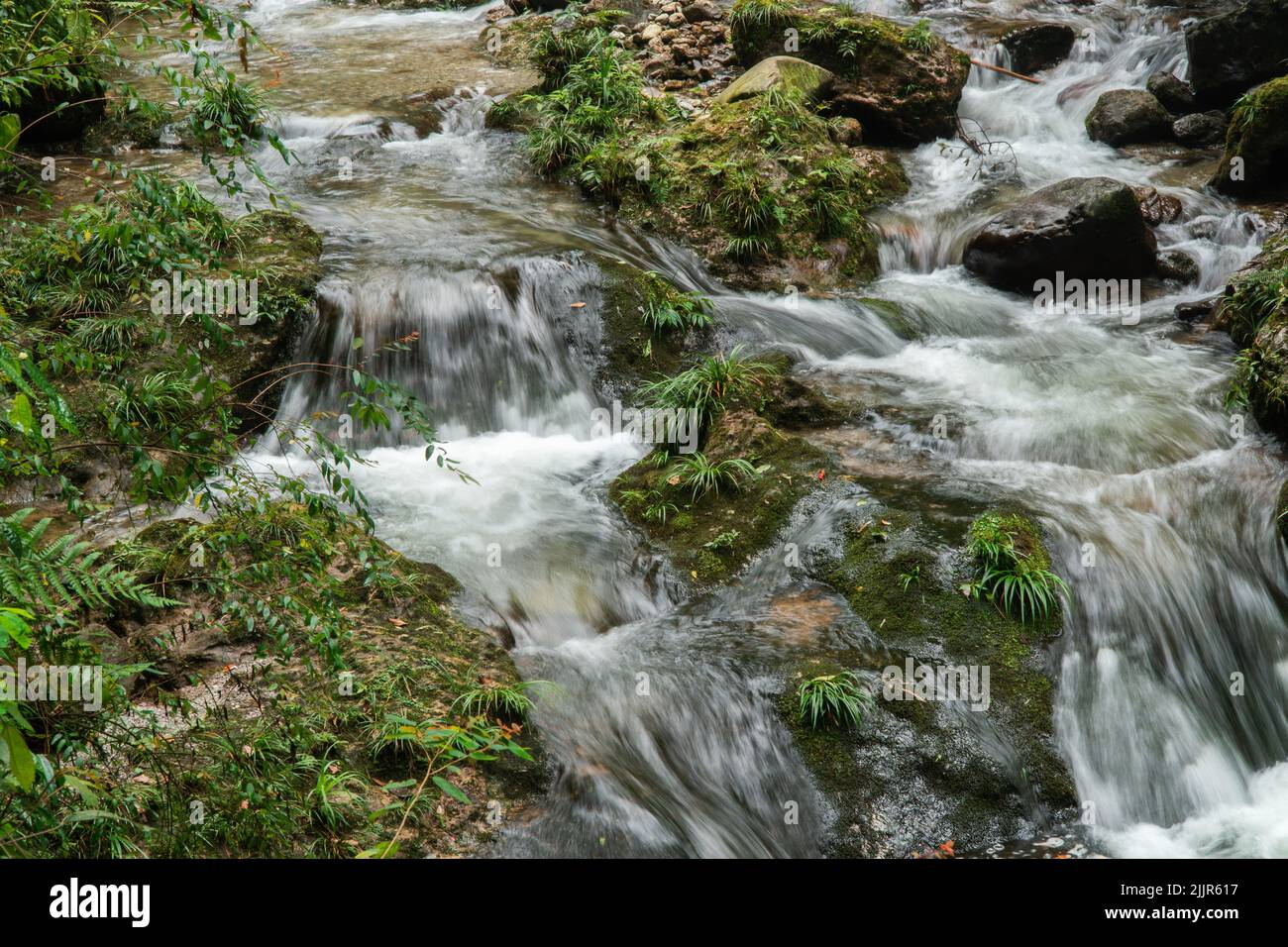 Beautiful landscape summer river many hi-res stock photography and ...
