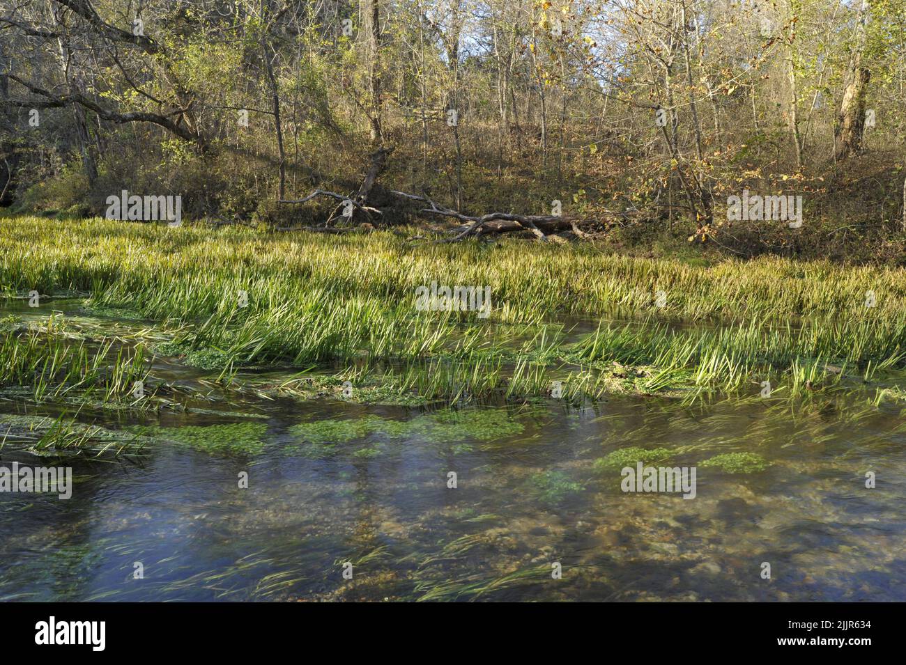 Ozarks hi-res stock photography and images - Alamy