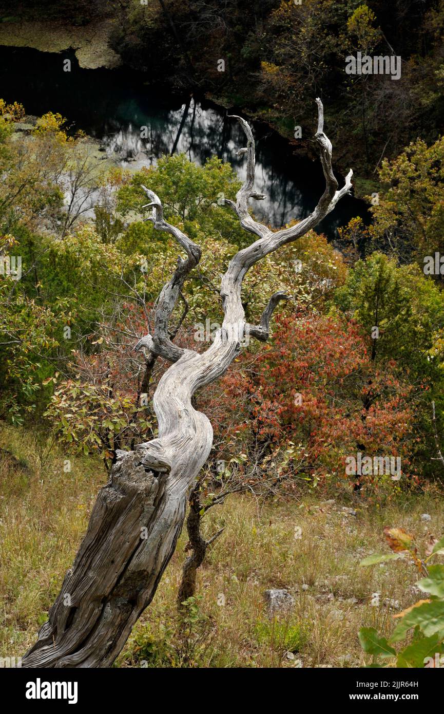 A vertical shot of the beautiful HaHa Tonka State Park in Osage Beach ...
