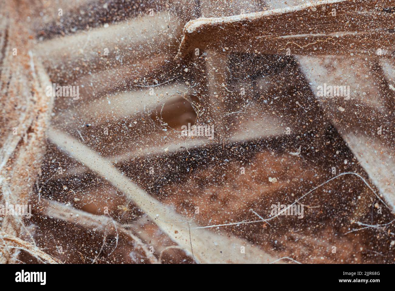 Dirty desert hi-res stock photography and images - Alamy