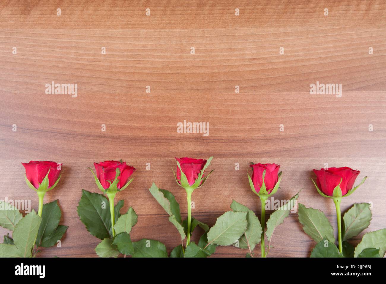 A top view of five red roses on a wooden surface Stock Photo - Alamy