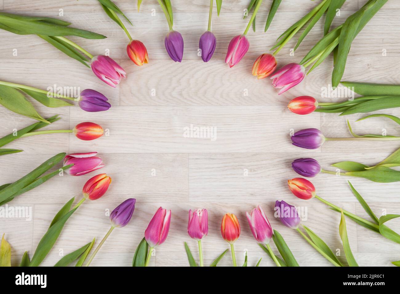 Top view tulips colorful hi-res stock photography and images - Alamy