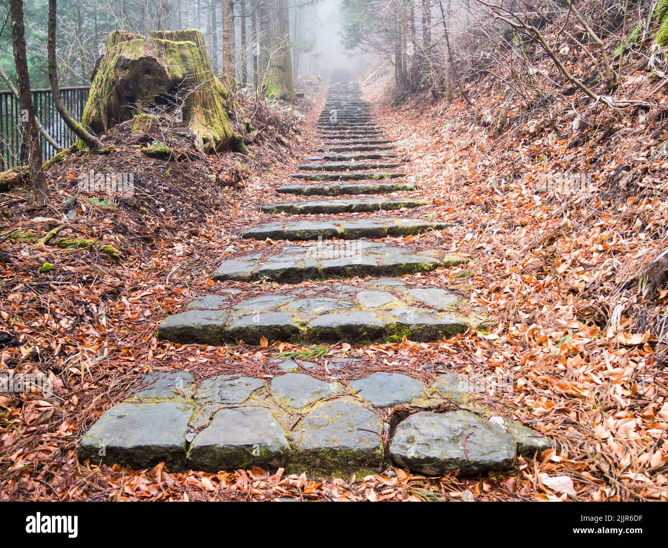 A pathway into the forest in Nikko, Japan Stock Photo - Alamy