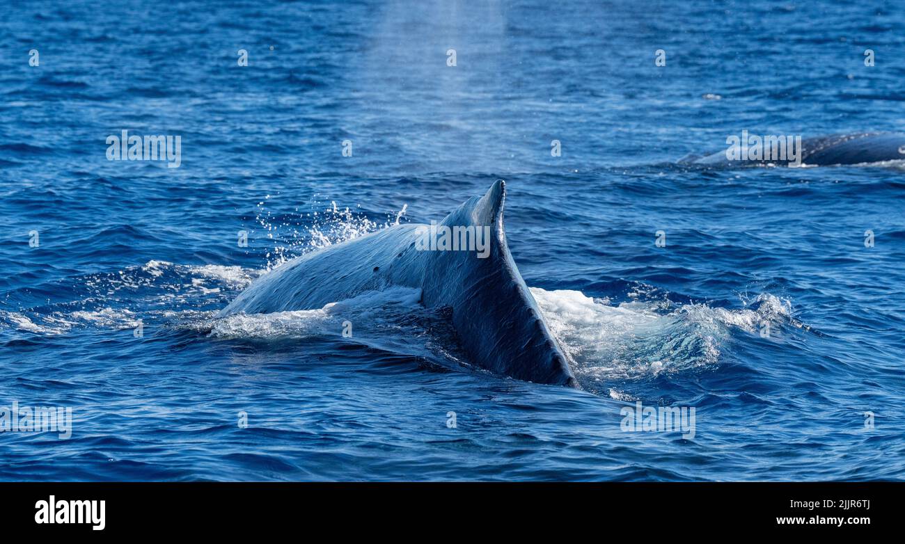 Ocean half in half out of water hi-res stock photography and images - Alamy