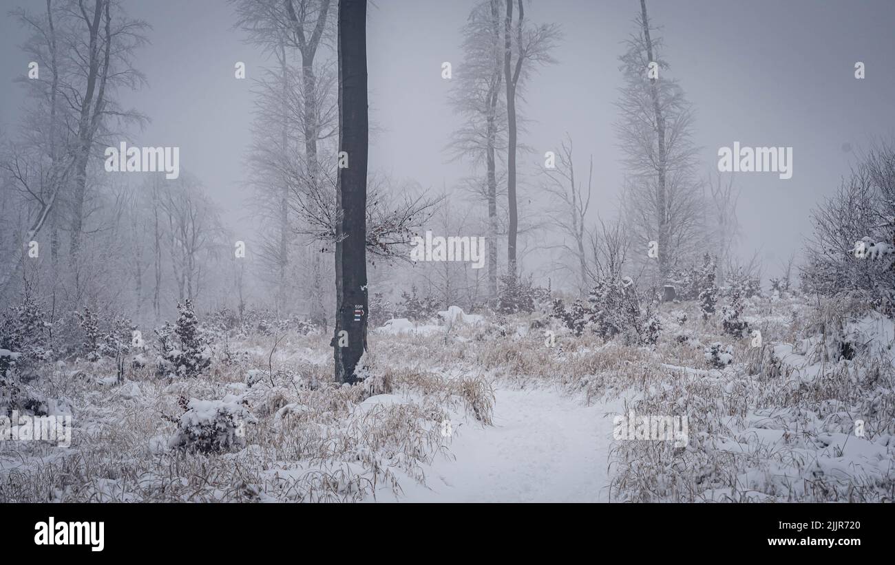 Snow covered path frozen hi-res stock photography and images - Alamy