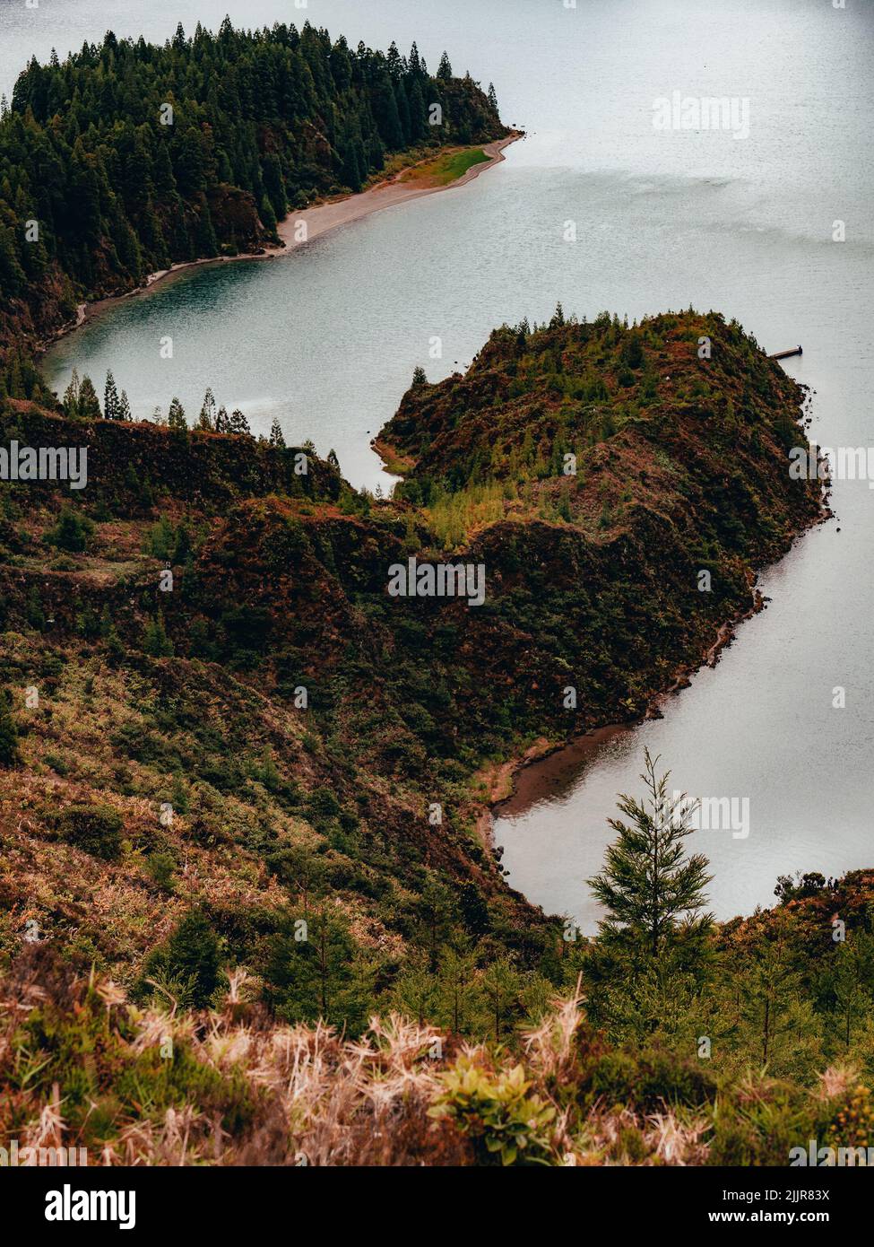 Sea forest mountains hi-res stock photography and images - Alamy