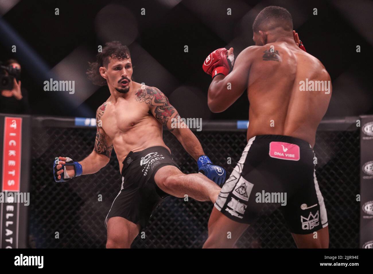 3rd leg hi-res stock photography and images - Alamy