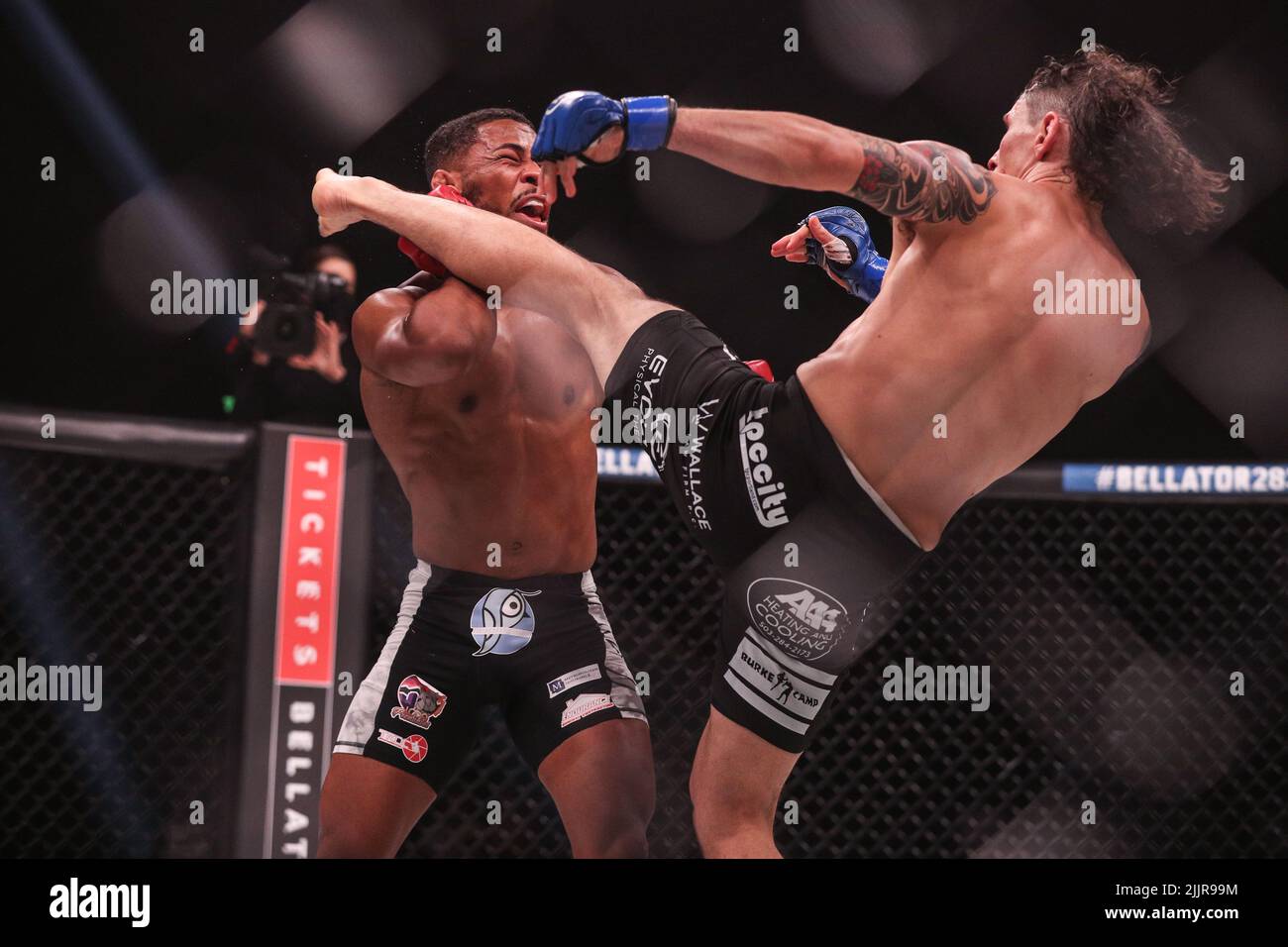 Lands on head hi-res stock photography and images - Alamy