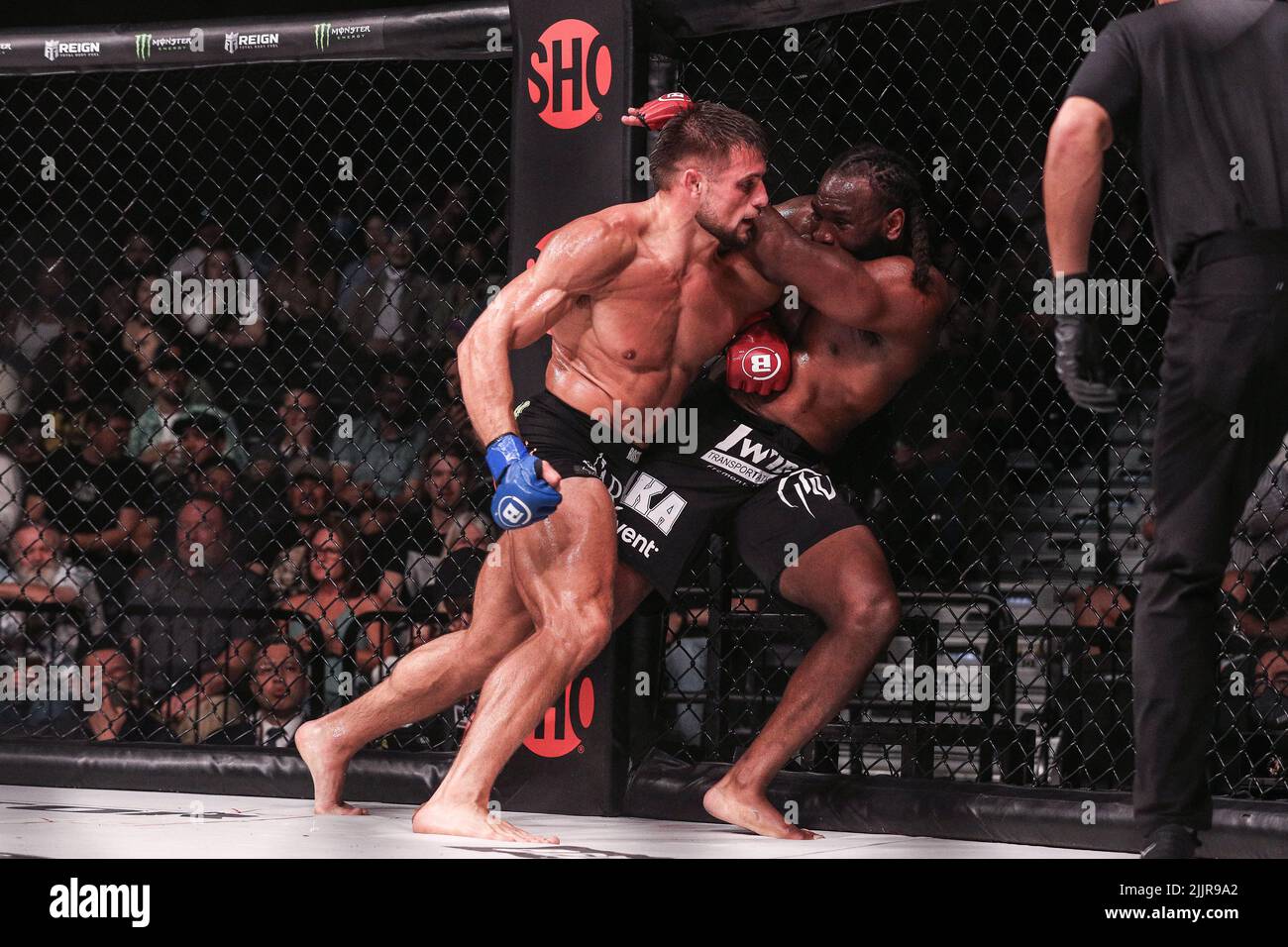 Dalton Rosta pressures Romero Cotton against the cage at Bellator 283 ...