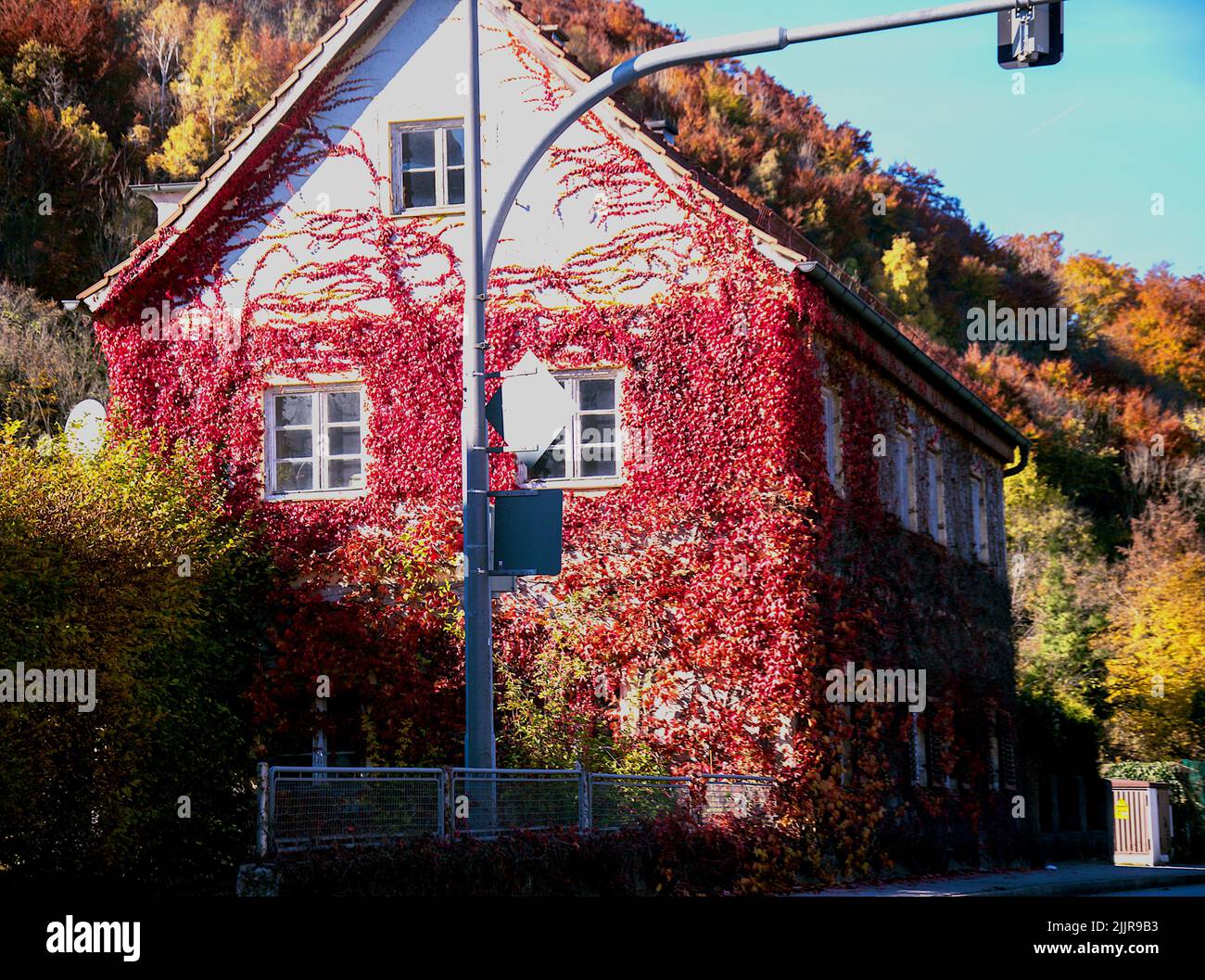 Vine covering building exterior hi-res stock photography and images - Alamy
