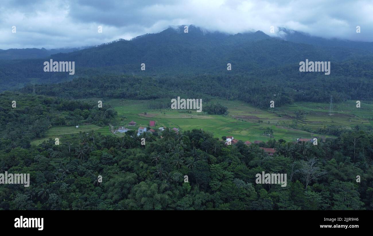 Central of java hi-res stock photography and images - Alamy