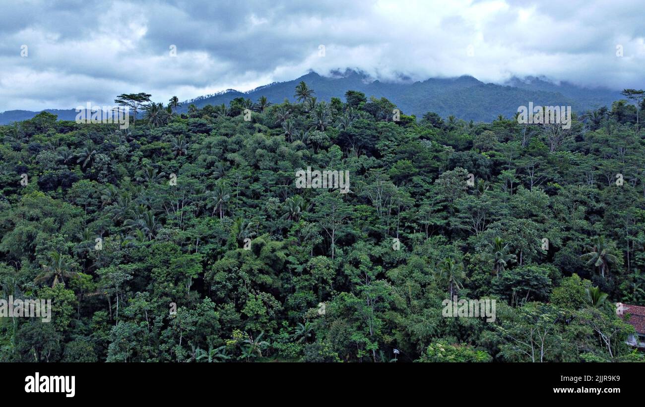 Japing hi-res stock photography and images - Alamy