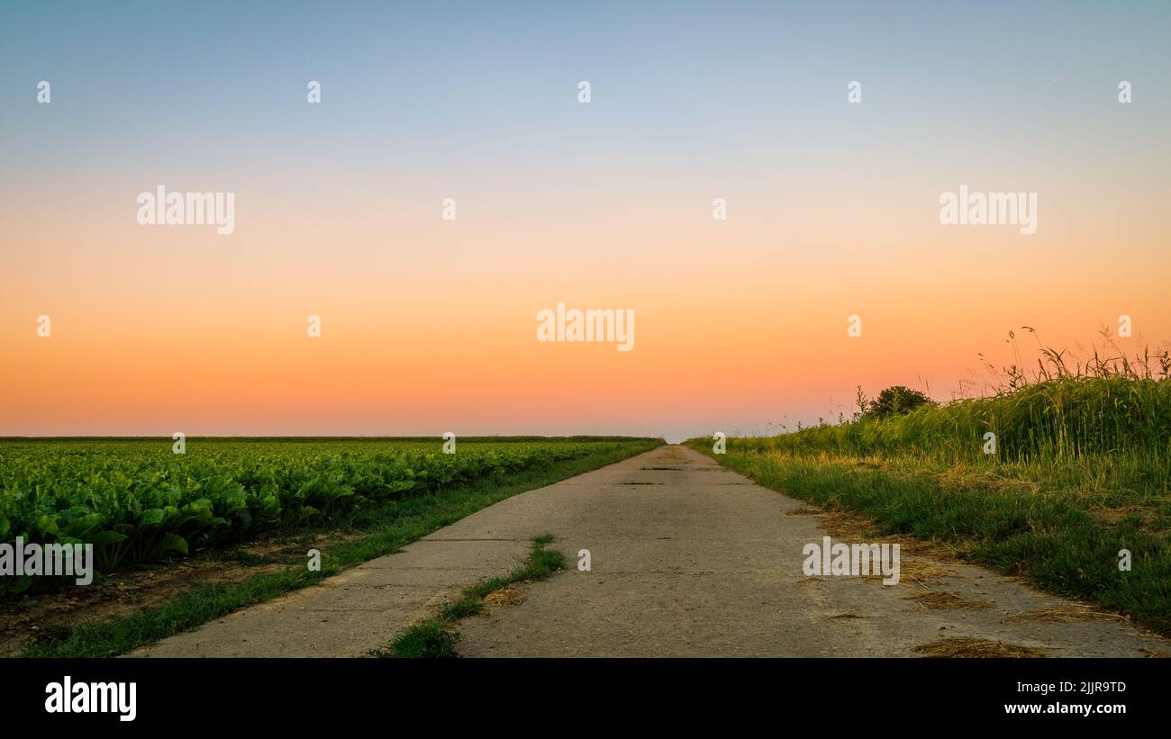 Summer sunset road background hi-res stock photography and images - Alamy