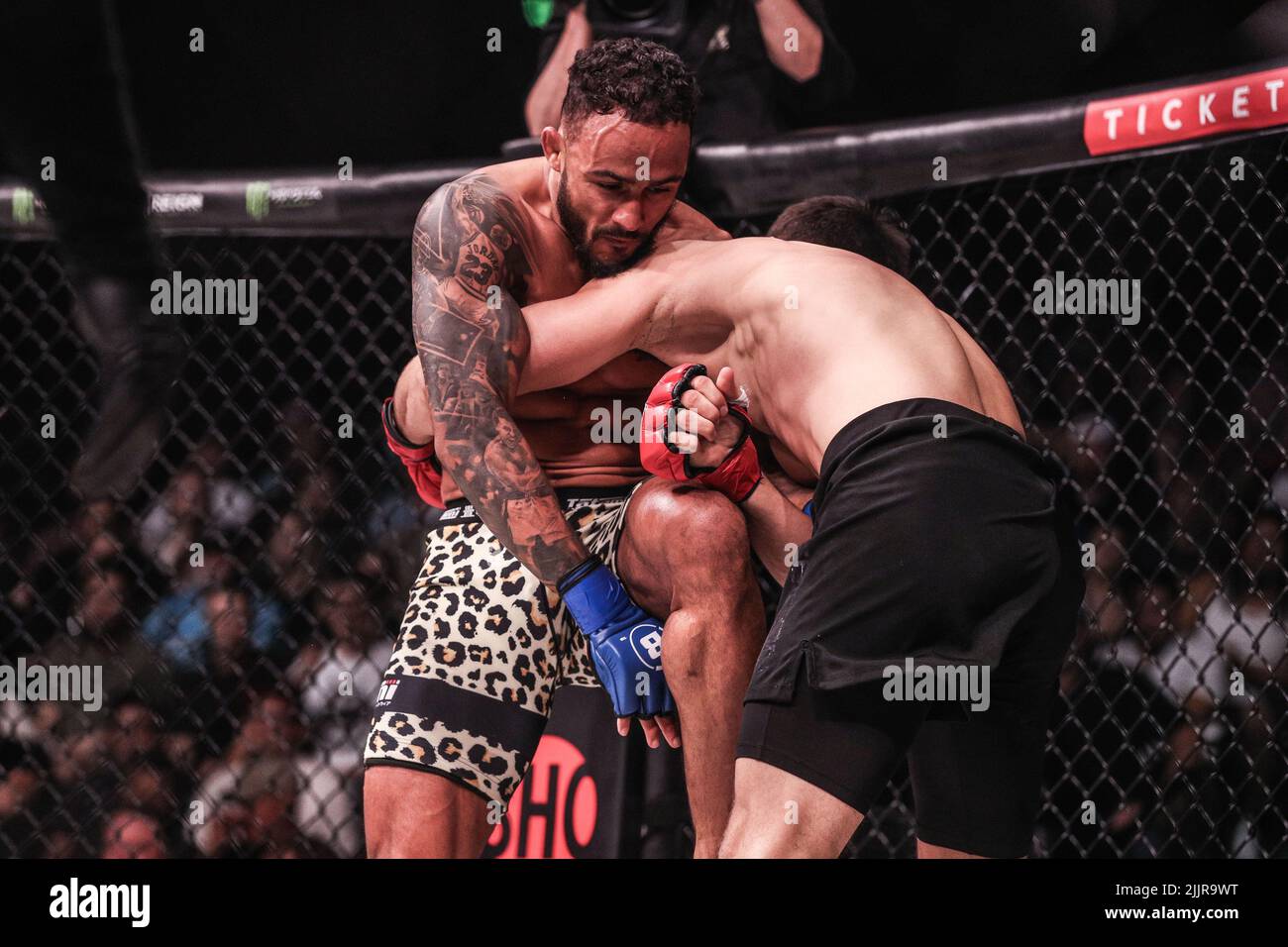 Nurmagomedov bellator hi-res stock photography and images - Alamy