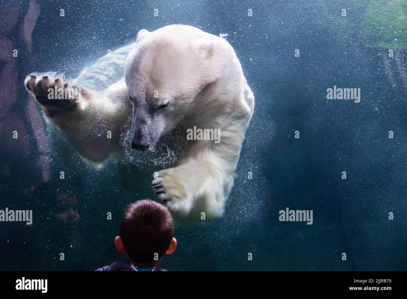 Little columbus hi-res stock photography and images - Alamy