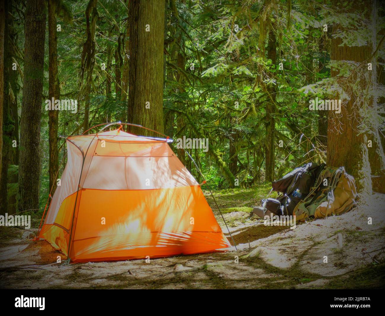 a beautiful view of the orange tent in the forest Stock Photo - Alamy